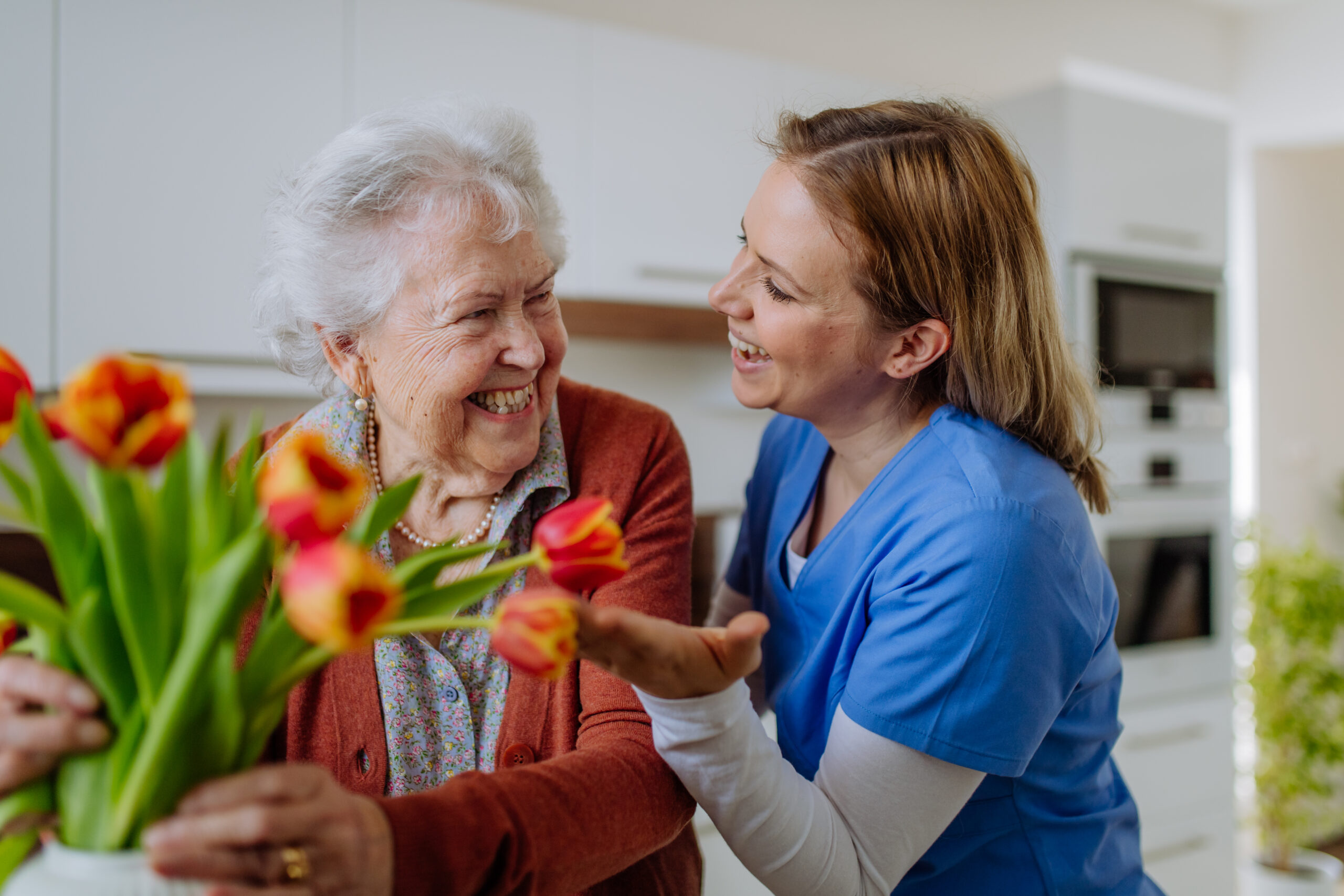 Daily Routine for Dementia at Home: A Simple Guide - MedPro USA Health ...